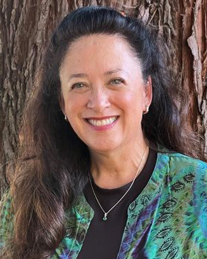 Board of Supervisors